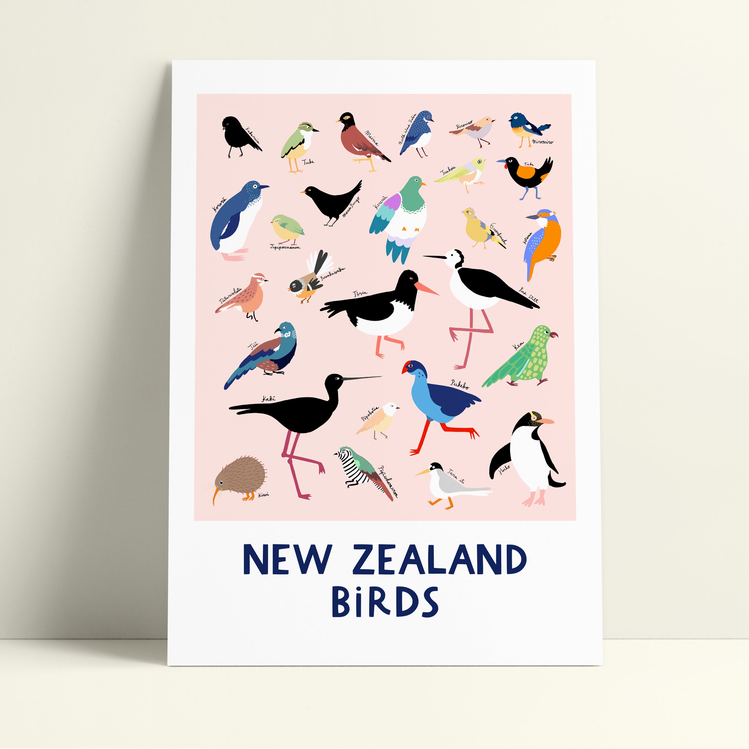 New Zealand Birds – Drawing the Way