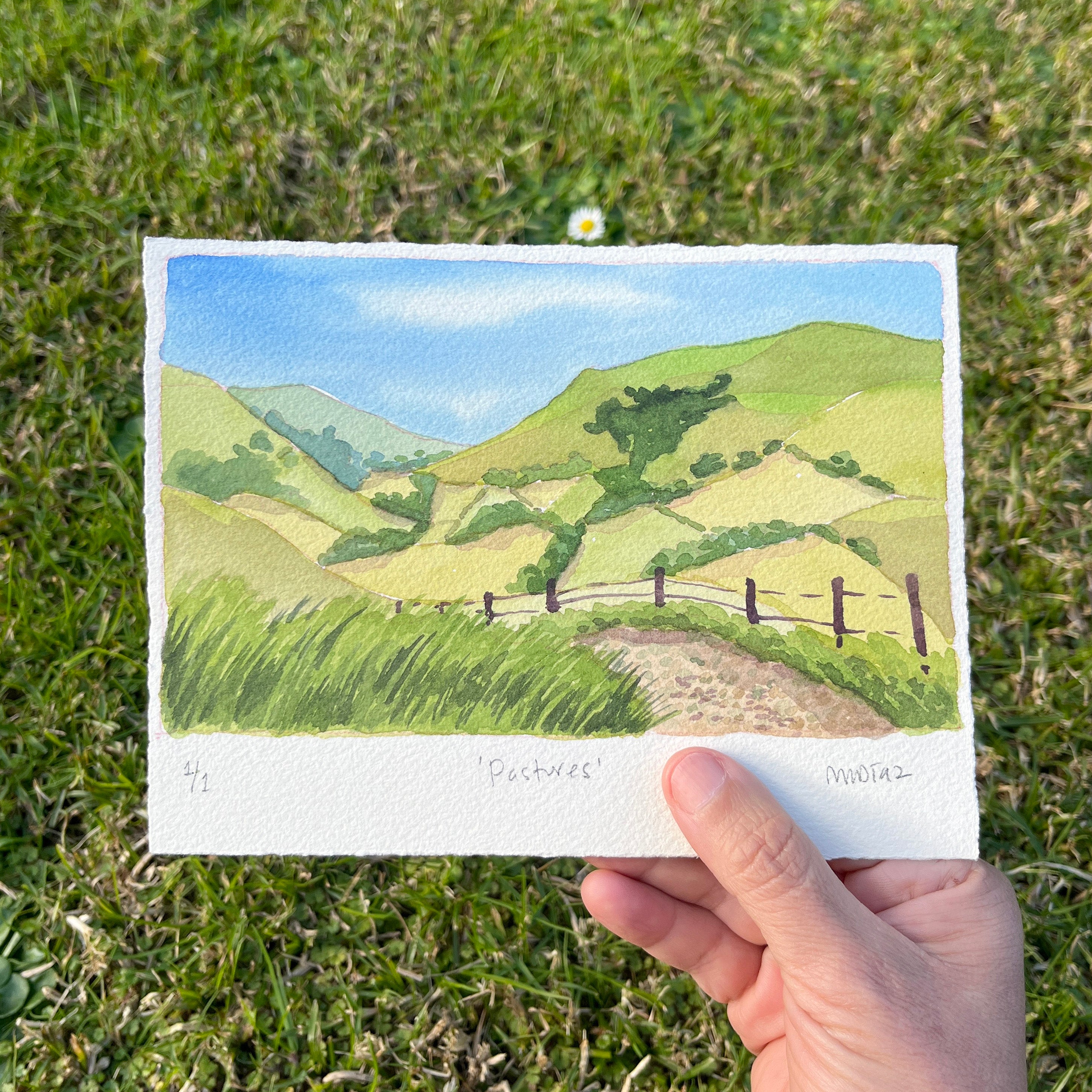 ORIGINAL Pastures – Drawing the Way