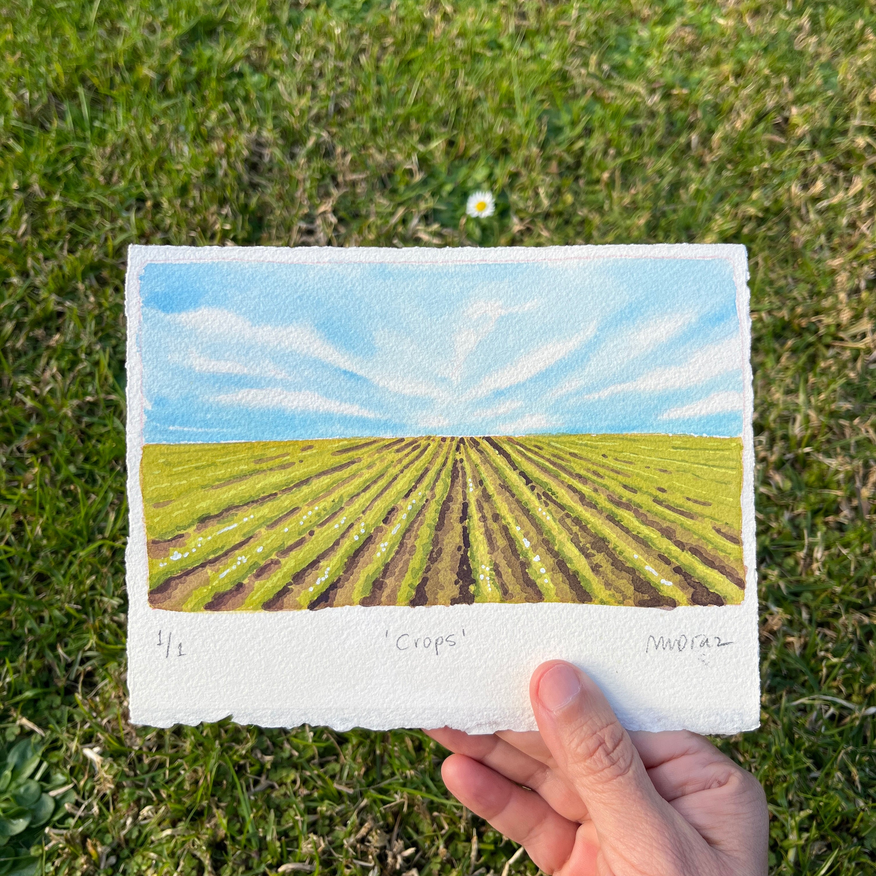 ORIGINAL Crops – Drawing the Way