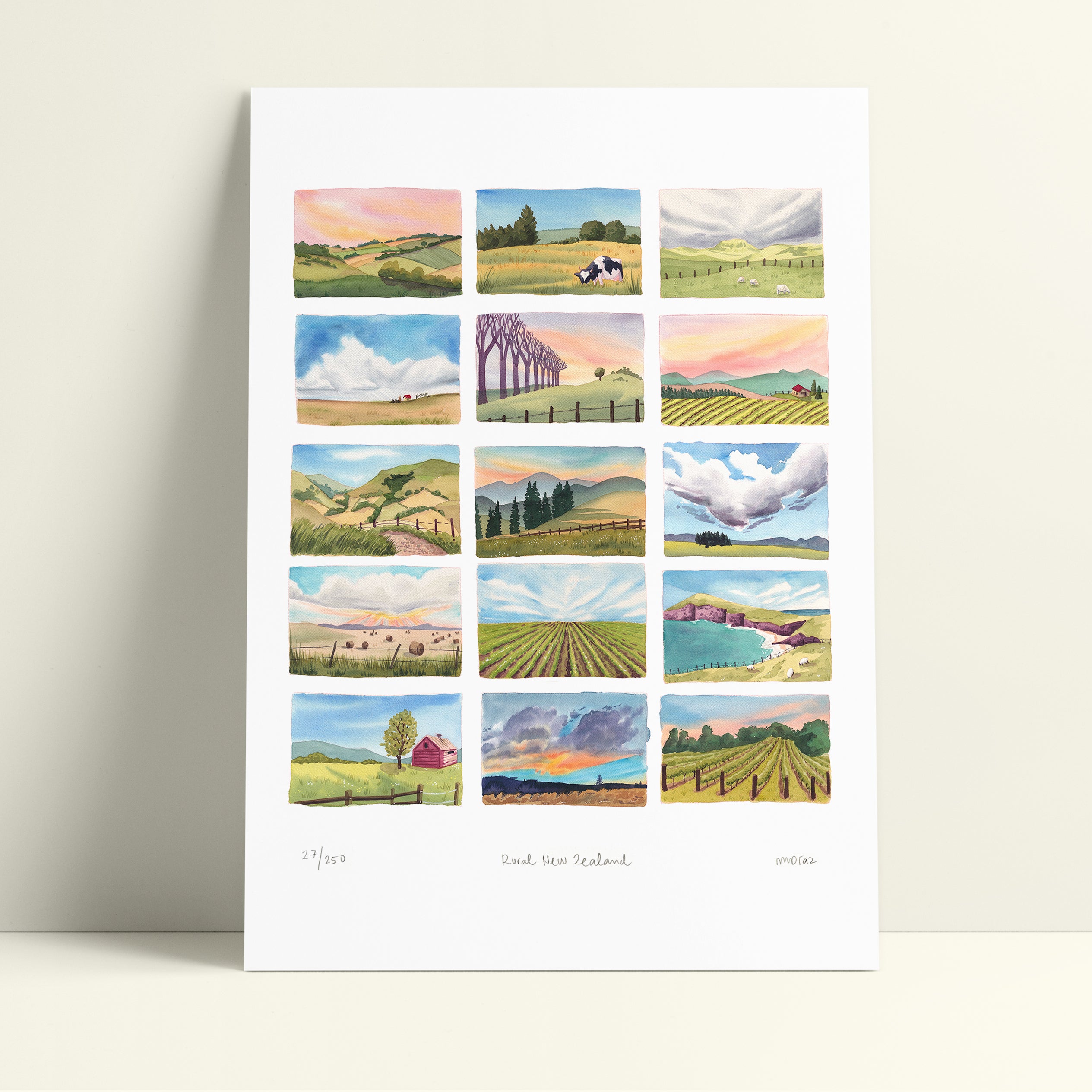 Rural New Zealand – Drawing the Way